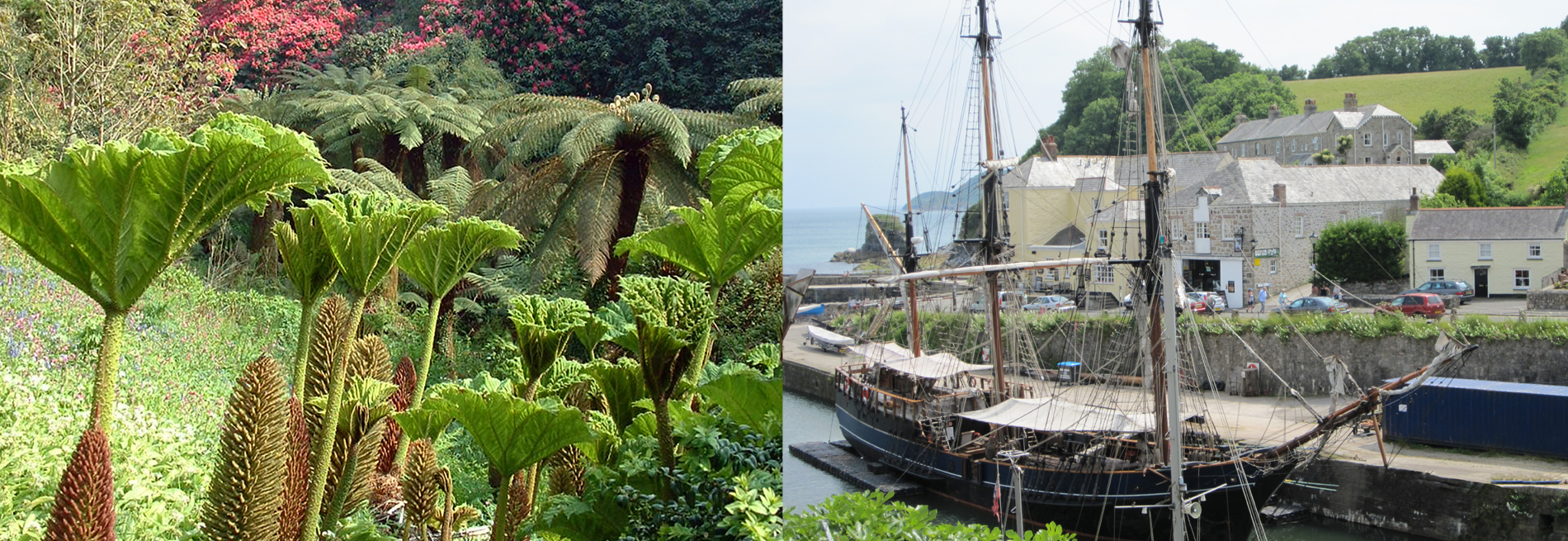 Great Cycle Routes in Cornwall Through Beautiful Scenery